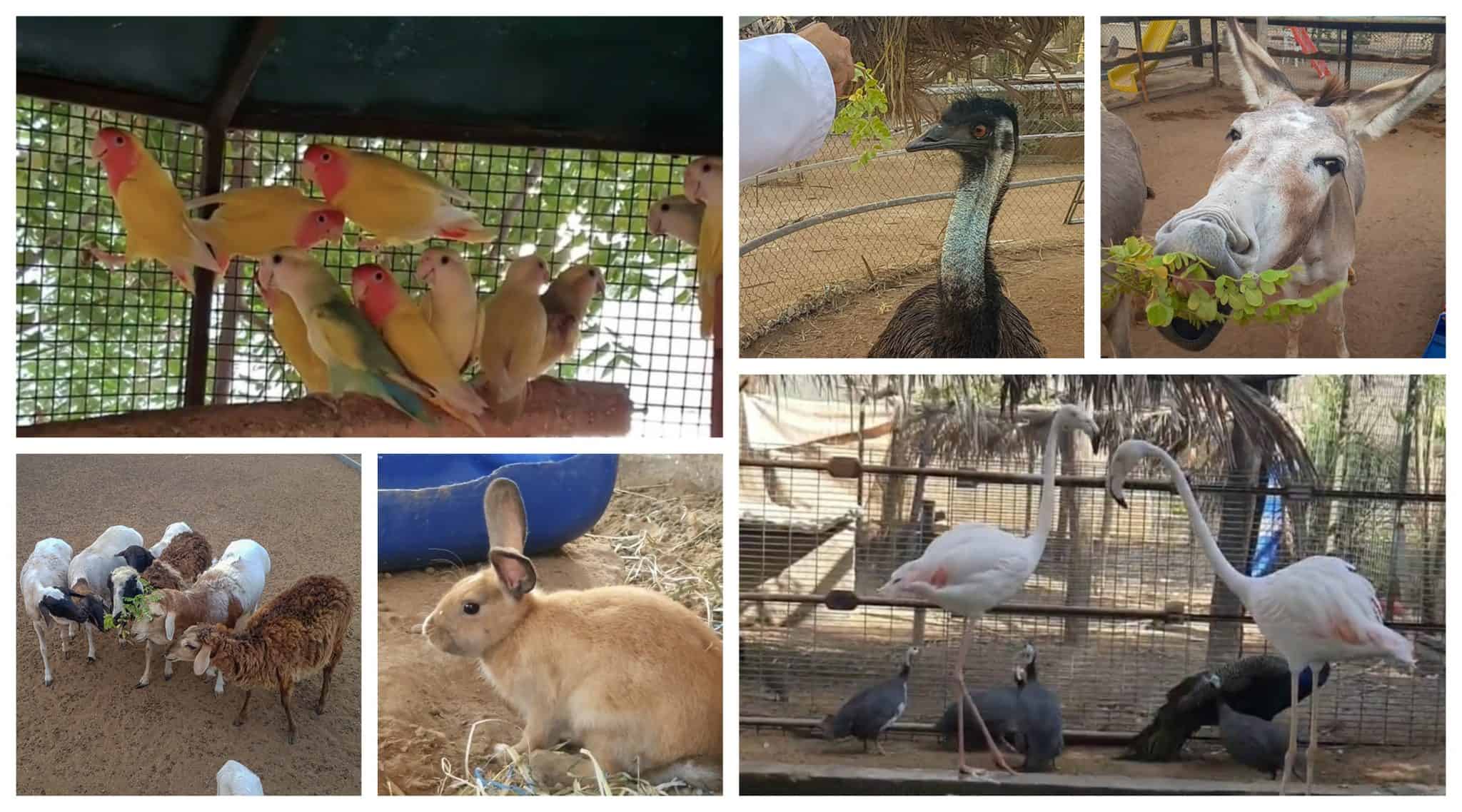 Visit the Natures Treasure Museum in Ras Al Khaimah - WOW-RAK