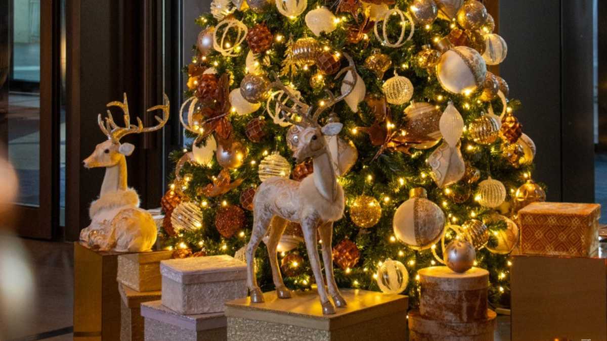 Christmas Tree Lighting Ceremony - WOW-RAK