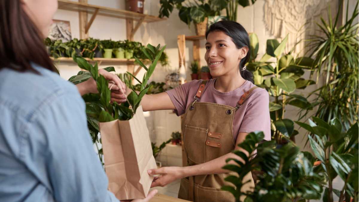 BABA FARM HOUSE Archives - WOW-RAK